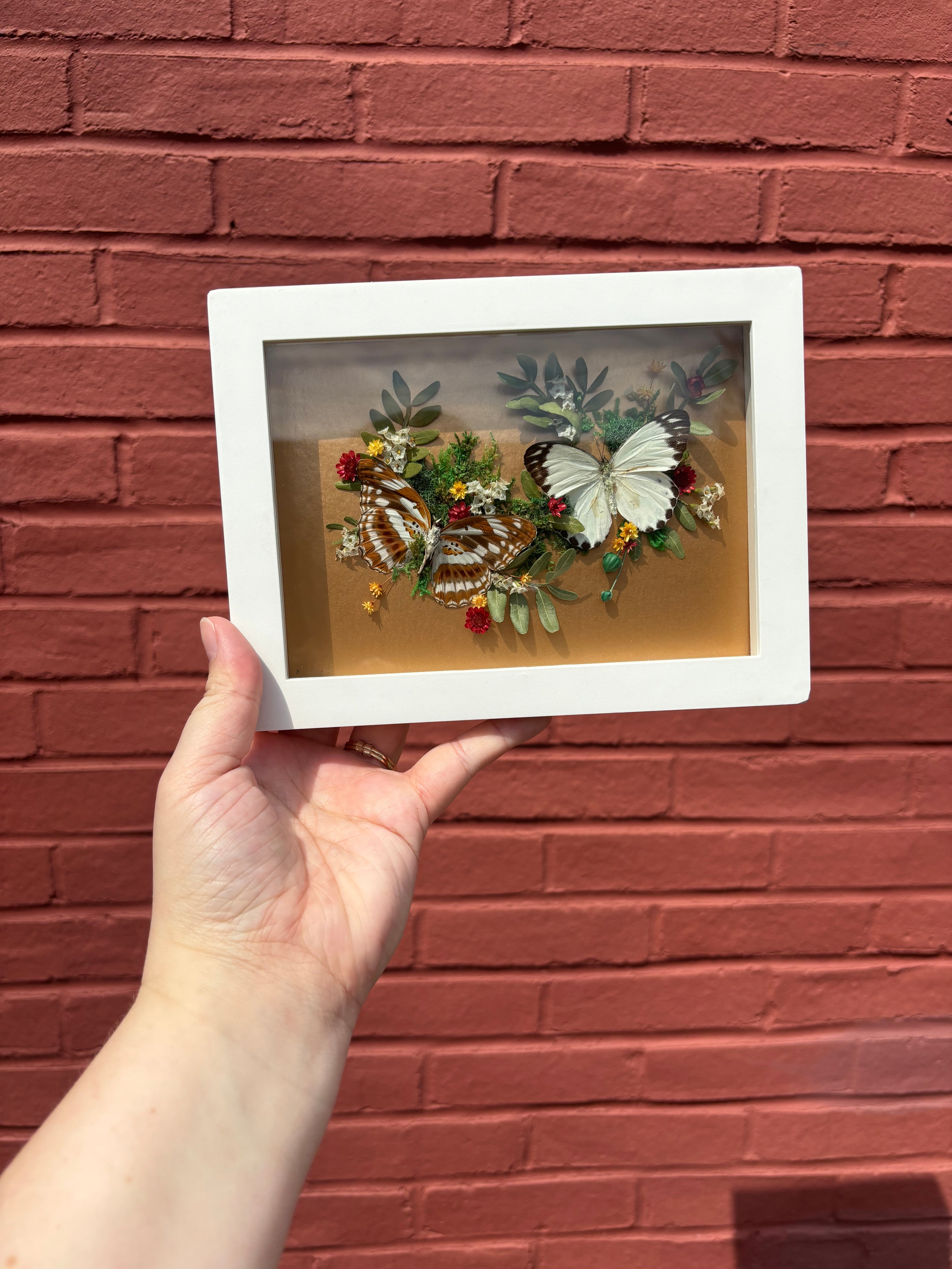 Common Butterflies on Bronze – Sam Bly Design