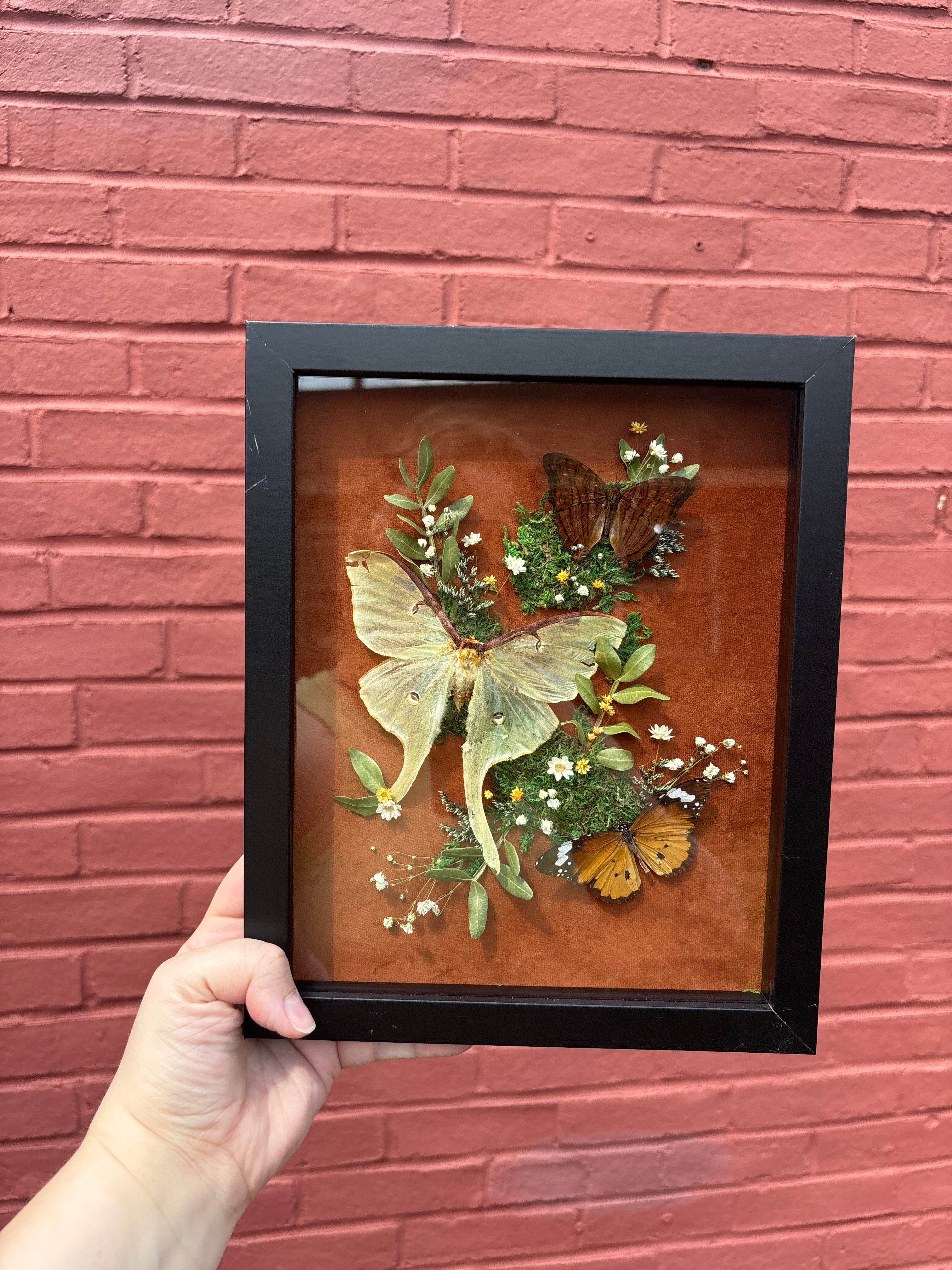 Luna & Butterfly friends on Burnt Orange Velvet – Sam Bly Design
